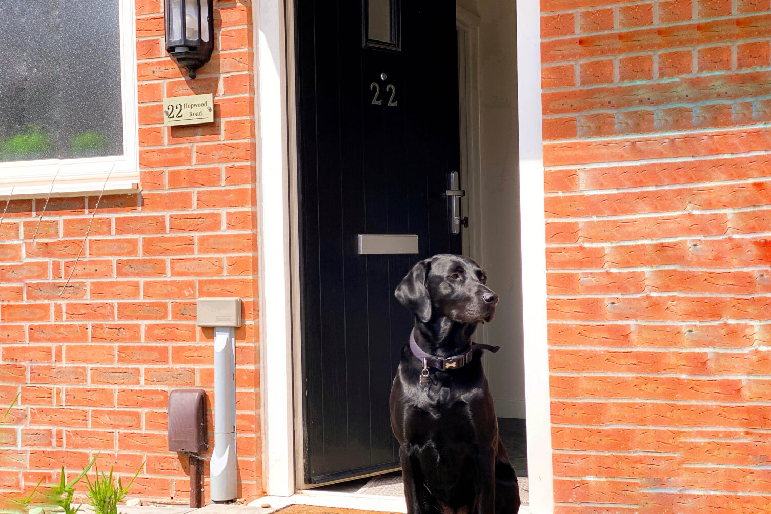 Michelle Roden's Snugg Story - Snugg Homes