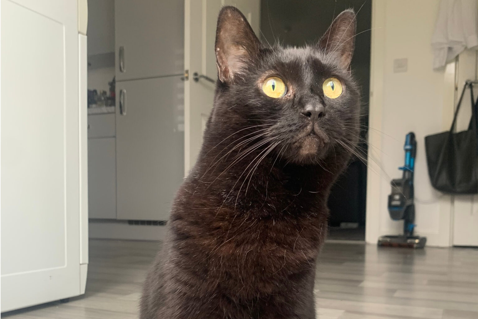 John Paisey's Snugg Story - Snugg Homes